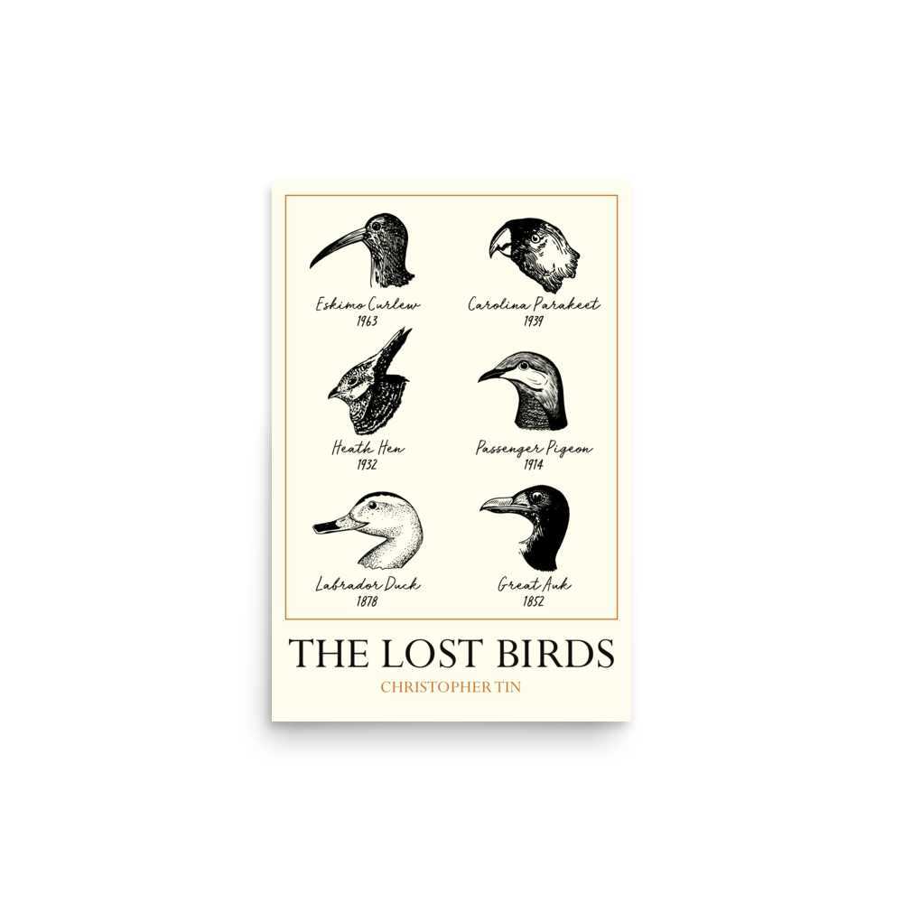 Christopher Tin: The Lost Birds Poster - Decca Records US Official Store